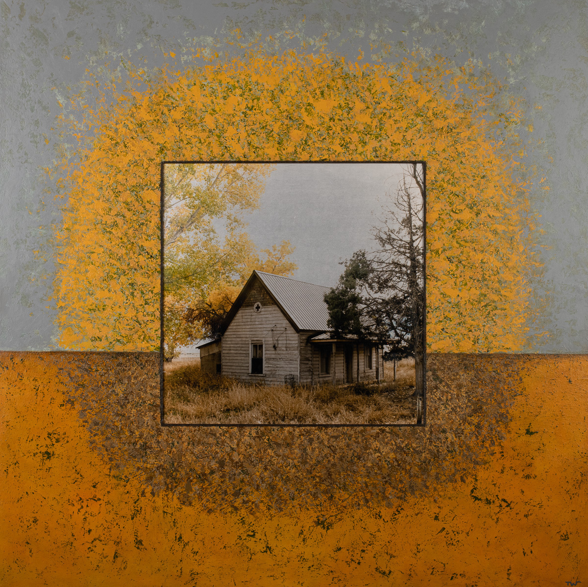 | Timothy White Studio